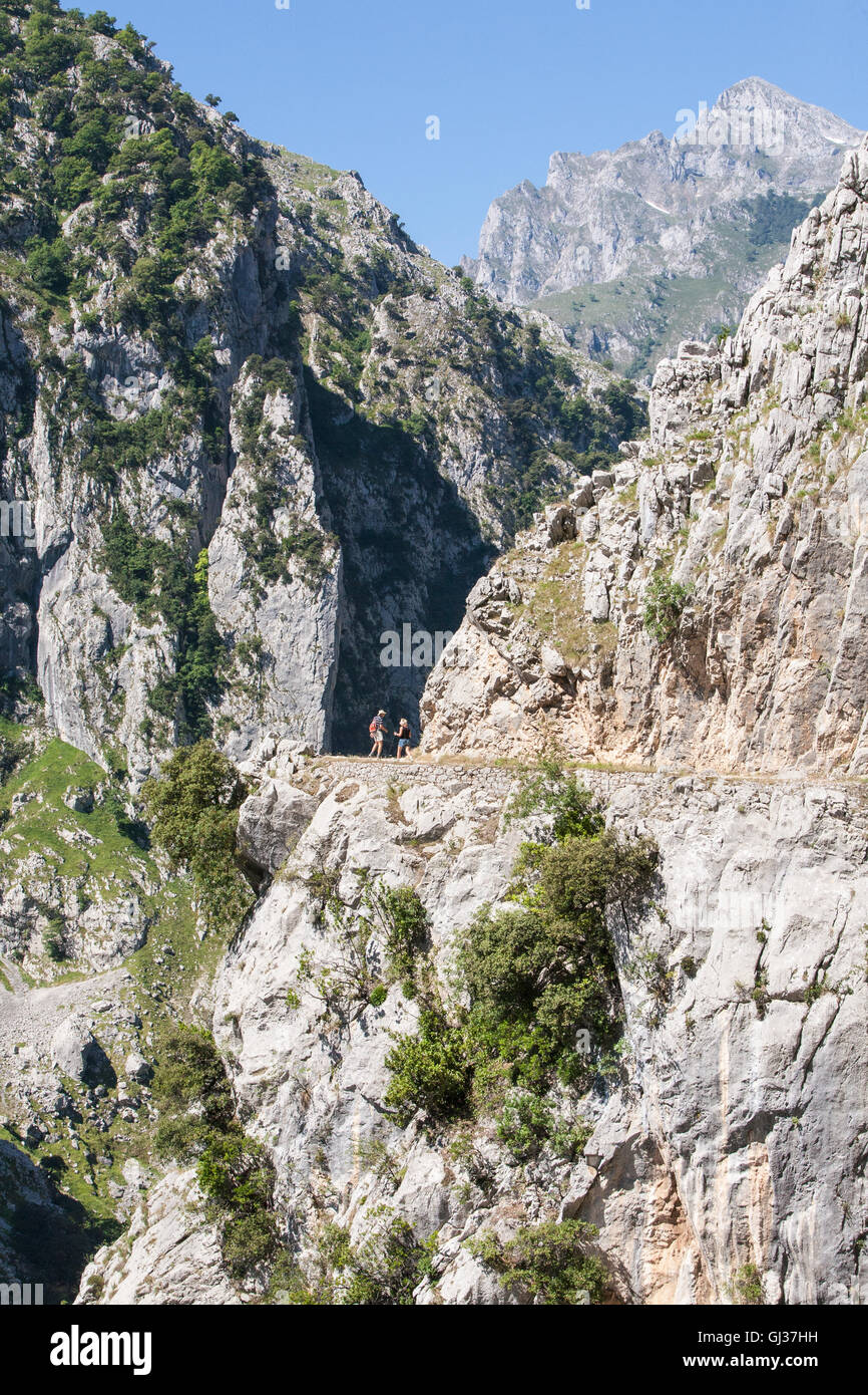 Hiking Cares Gorge in Picos de Europa,Asturias,Spain,Europe Stock Photo ...