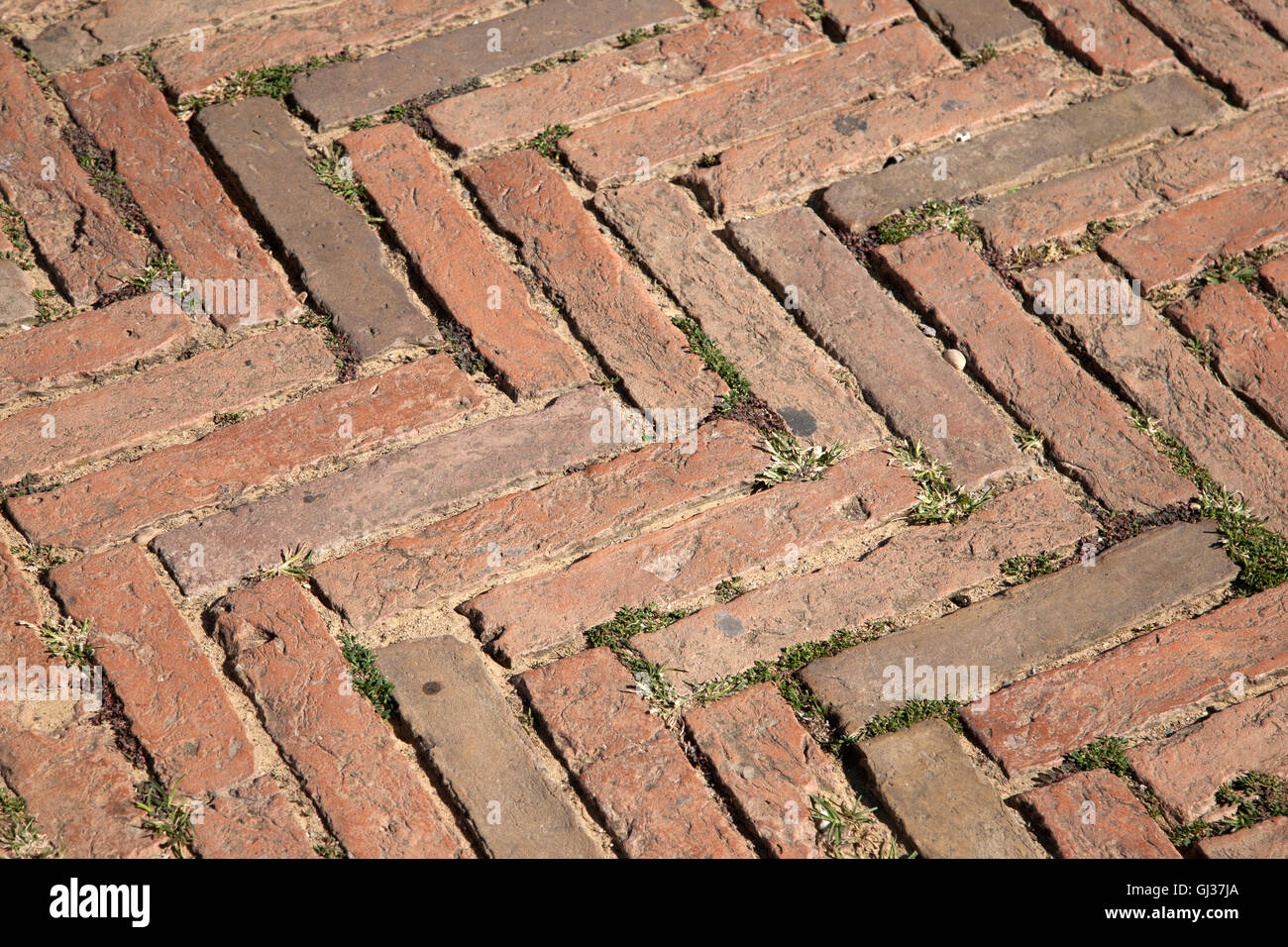 Piazza del Campo Square Pavement Background, Sienna; Tuscany; Italy ...