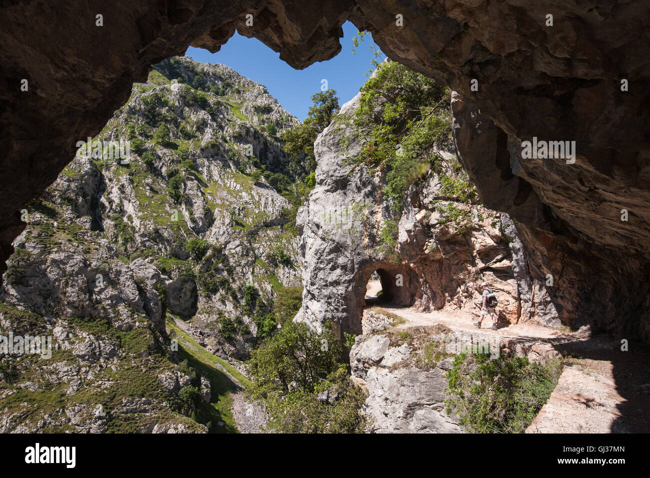 Hiking Cares Gorge in Picos de Europa,Asturias,Spain,Europe Stock Photo ...