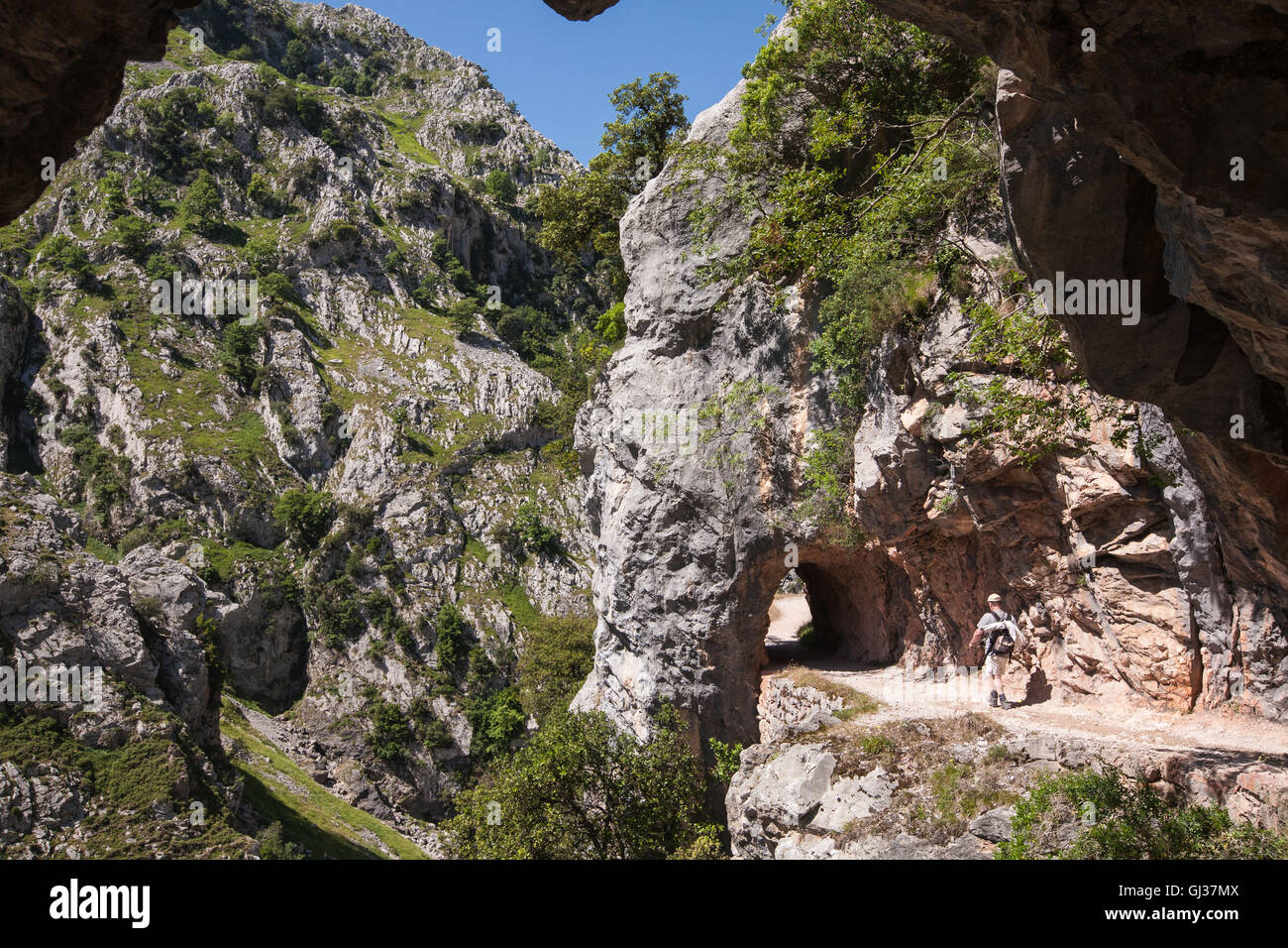 Hiking Cares Gorge in Picos de Europa,Asturias,Spain,Europe Stock Photo ...