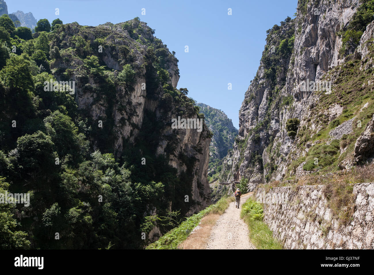Hiking Cares Gorge in Picos de Europa,Asturias,Spain,Europe Stock Photo ...
