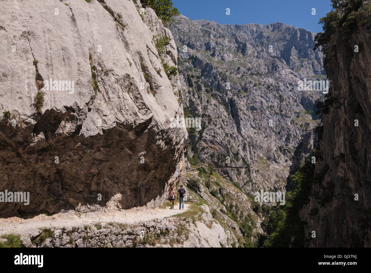 Hiking Cares Gorge in Picos de Europa,Asturias,Spain,Europe Stock Photo ...