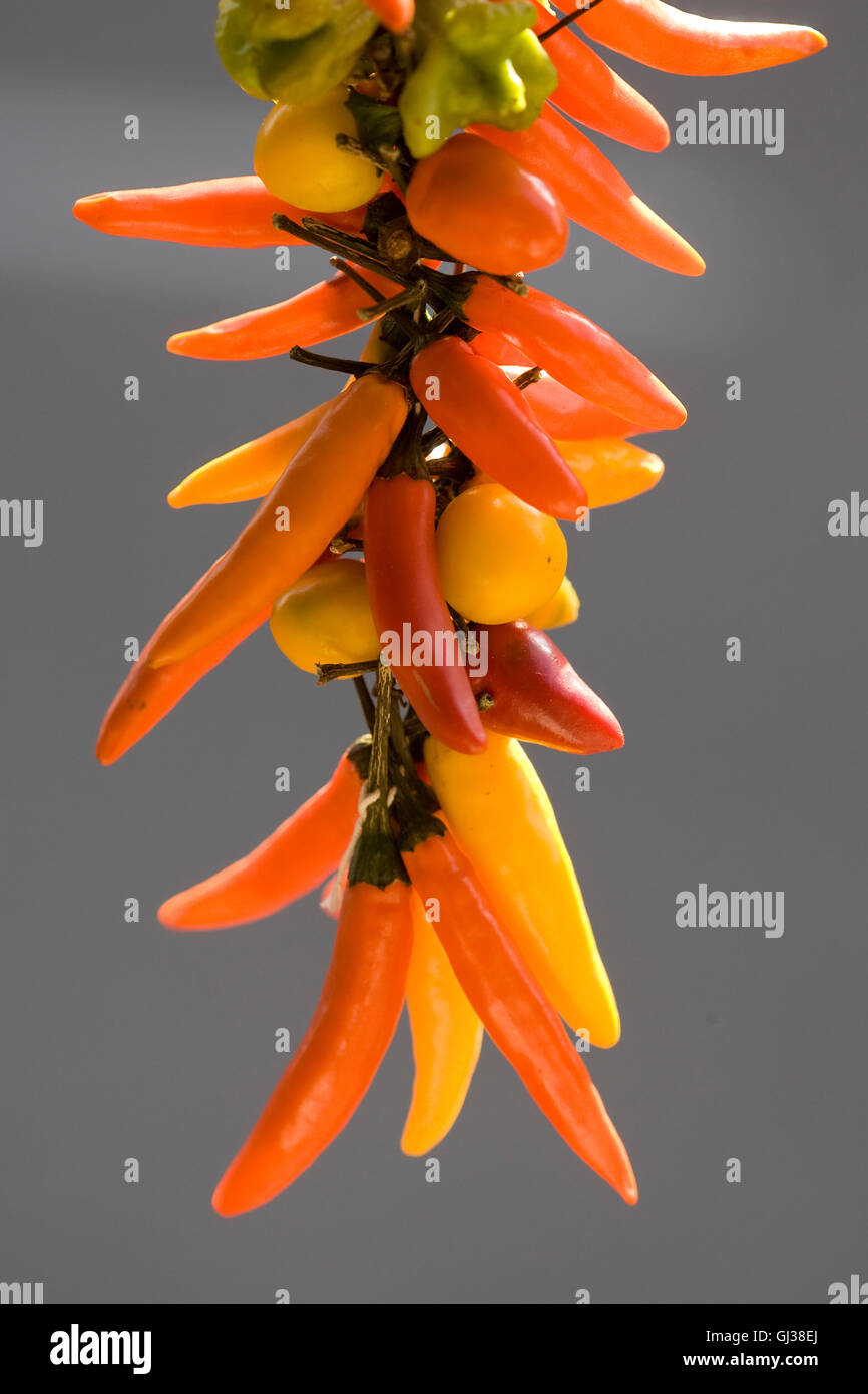 Chilli and orange hi-res stock photography and images - Alamy