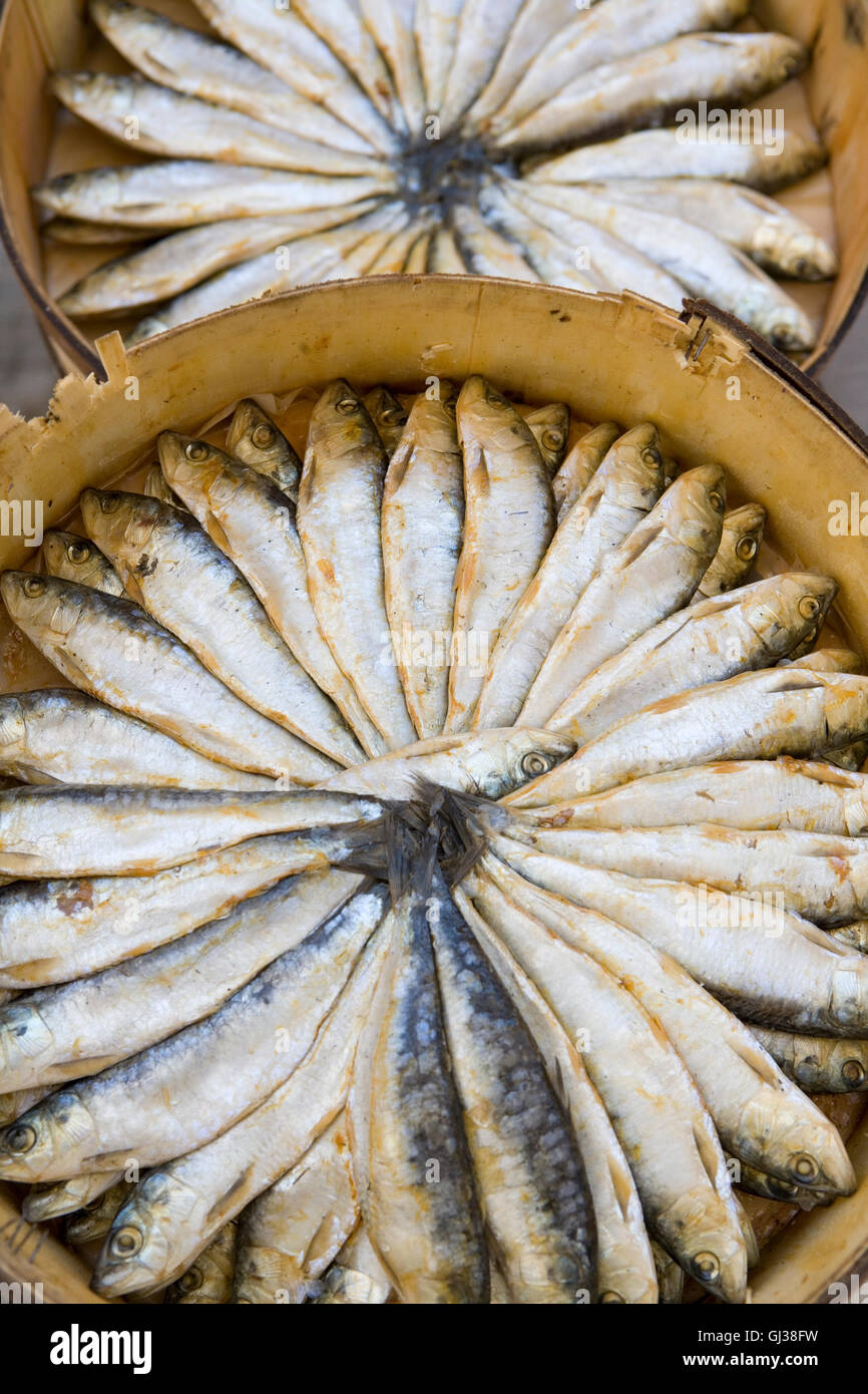 Sardines box hi-res stock photography and images - Alamy