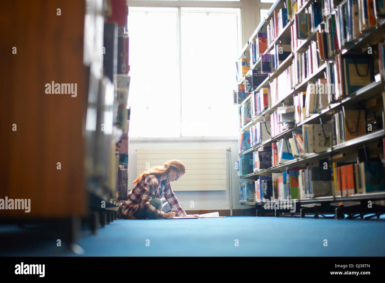 University student revising library hi-res stock photography and images ...