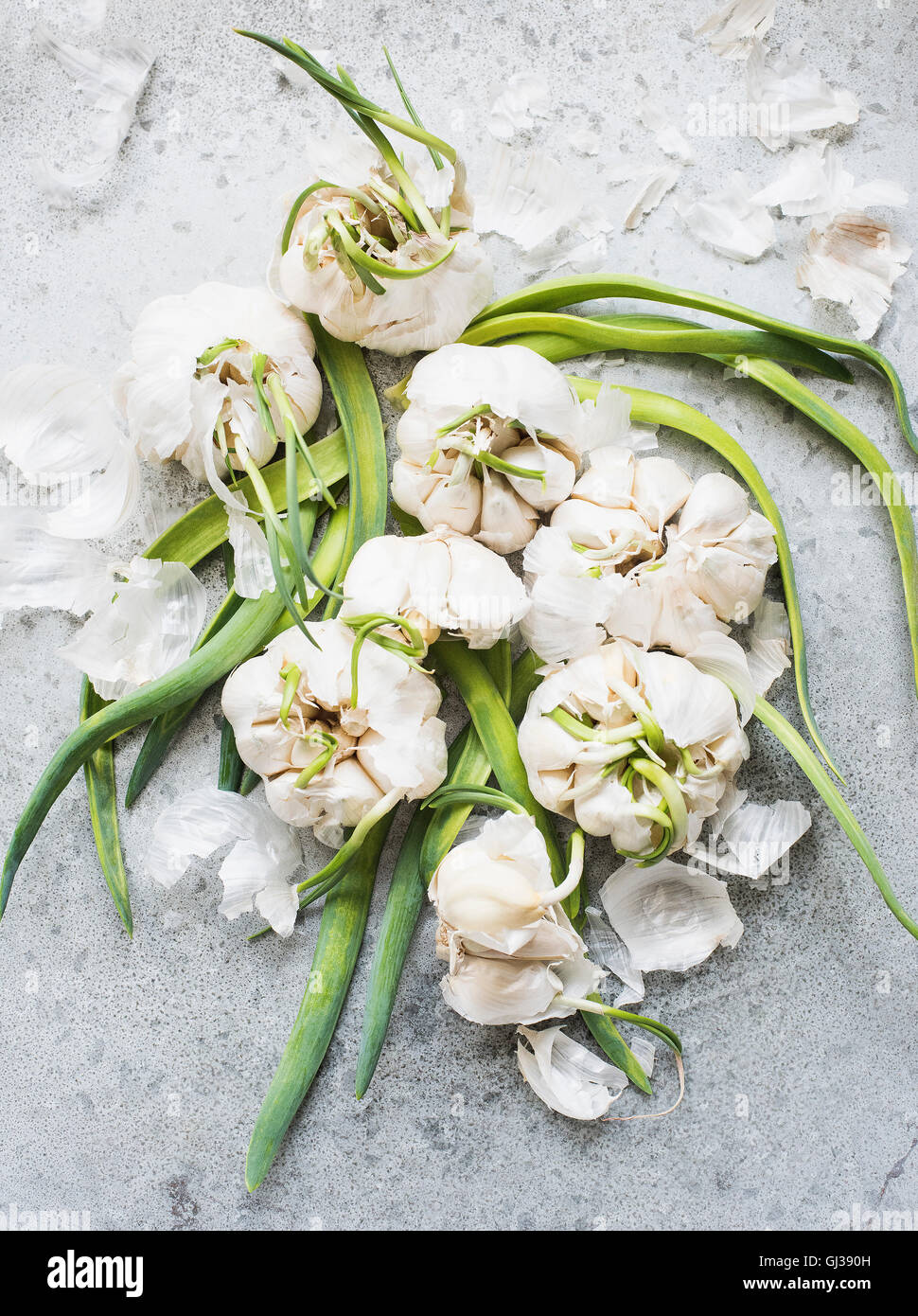 Sprouting Garlic High Resolution Stock Photography and Images - Alamy