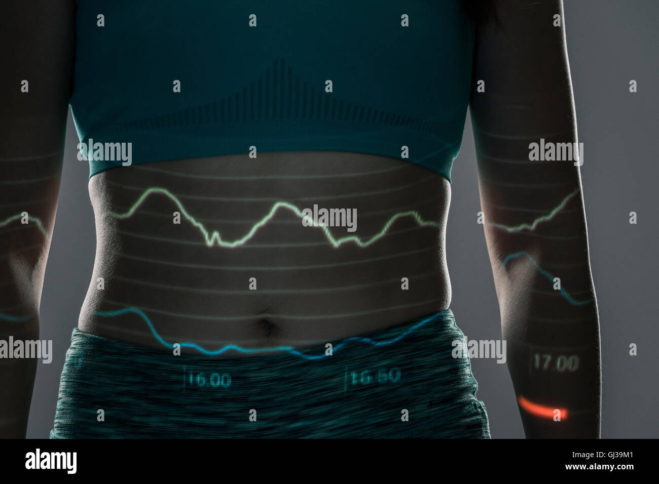Female body anatomy chart hi-res stock photography and images - Alamy