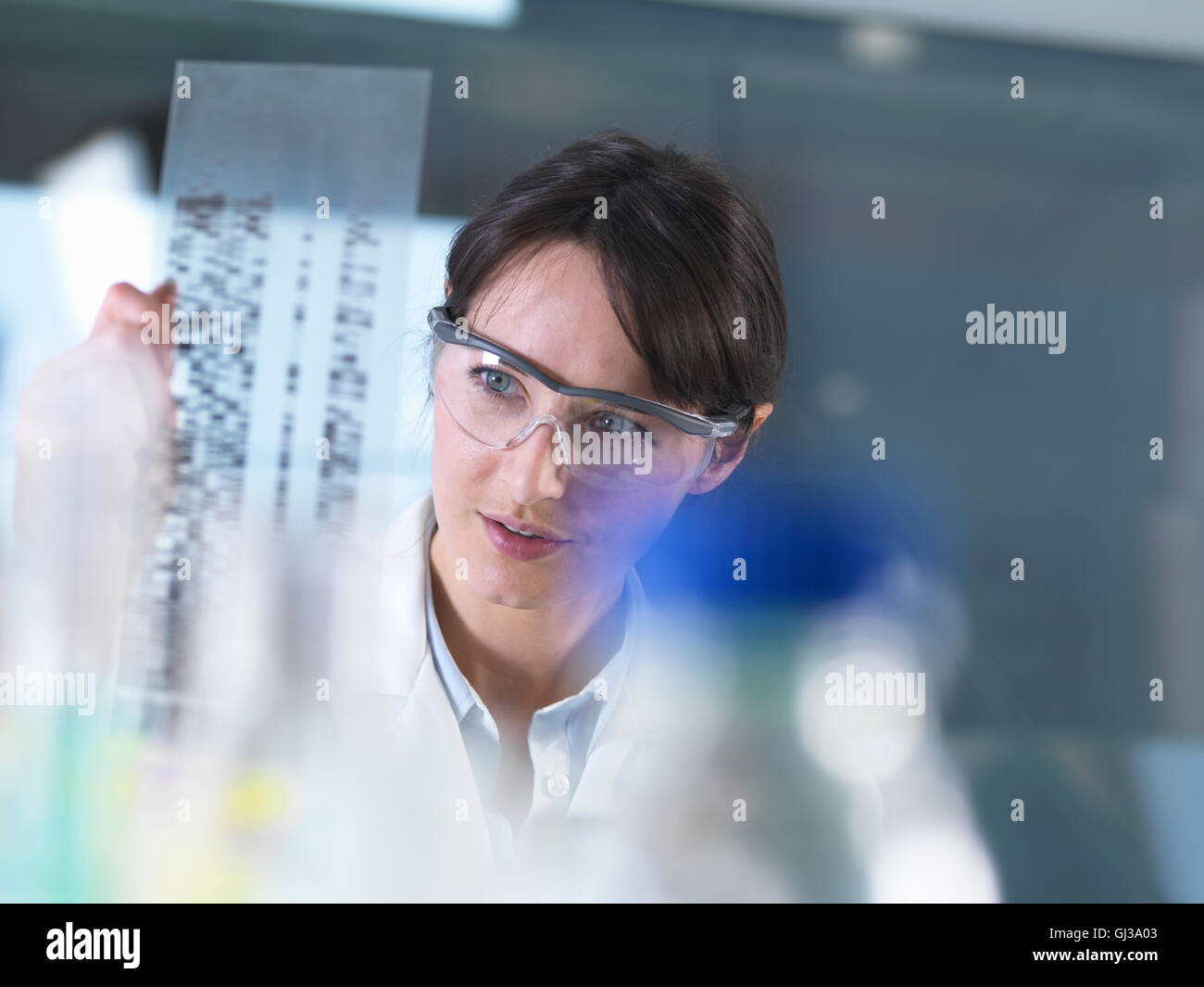 Researcher holding a DNA gel during a genetic experiment in a ...