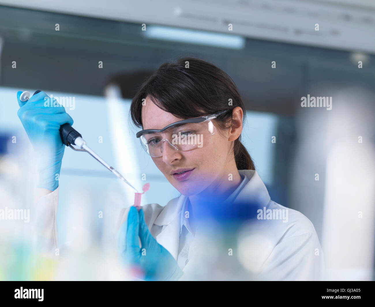 Researcher pipetting DNA sample into eppendorf vial in laboratory Stock ...