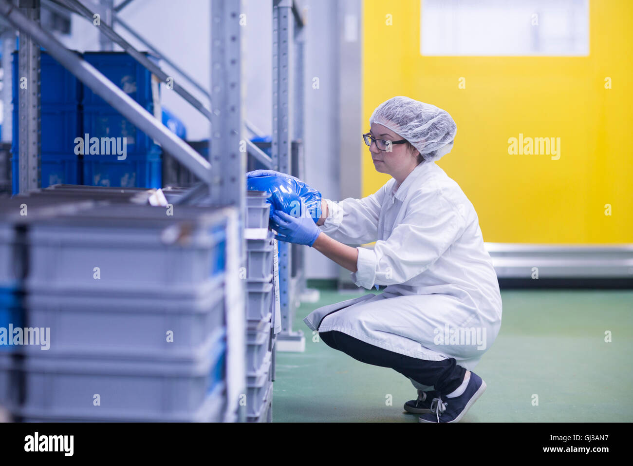 Factory worker crouching in store room searching storage containers ...