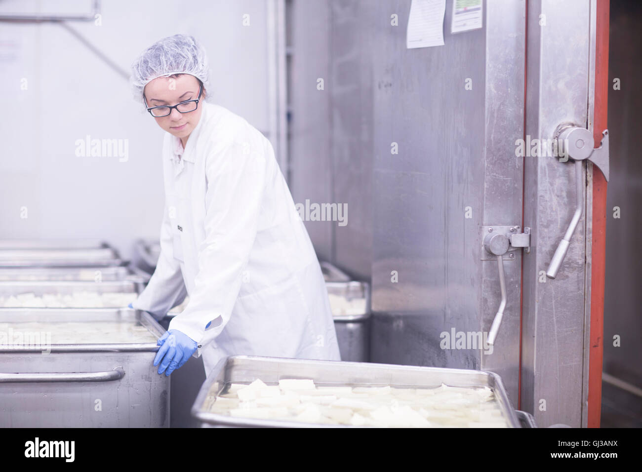 Factory worker working in food production factory Stock Photo - Alamy