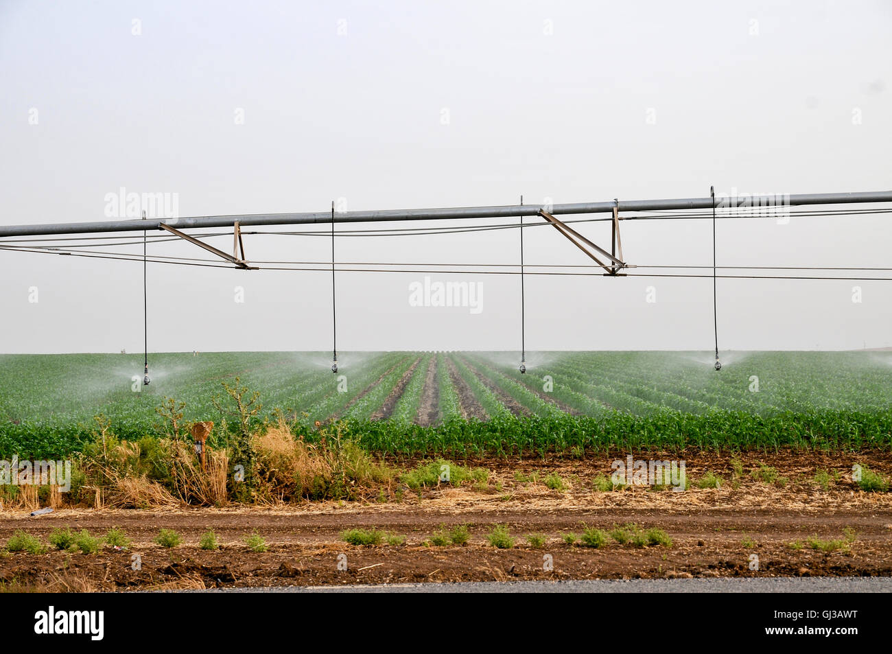 Mobile irrigation robot watering field Stock Photo - Alamy