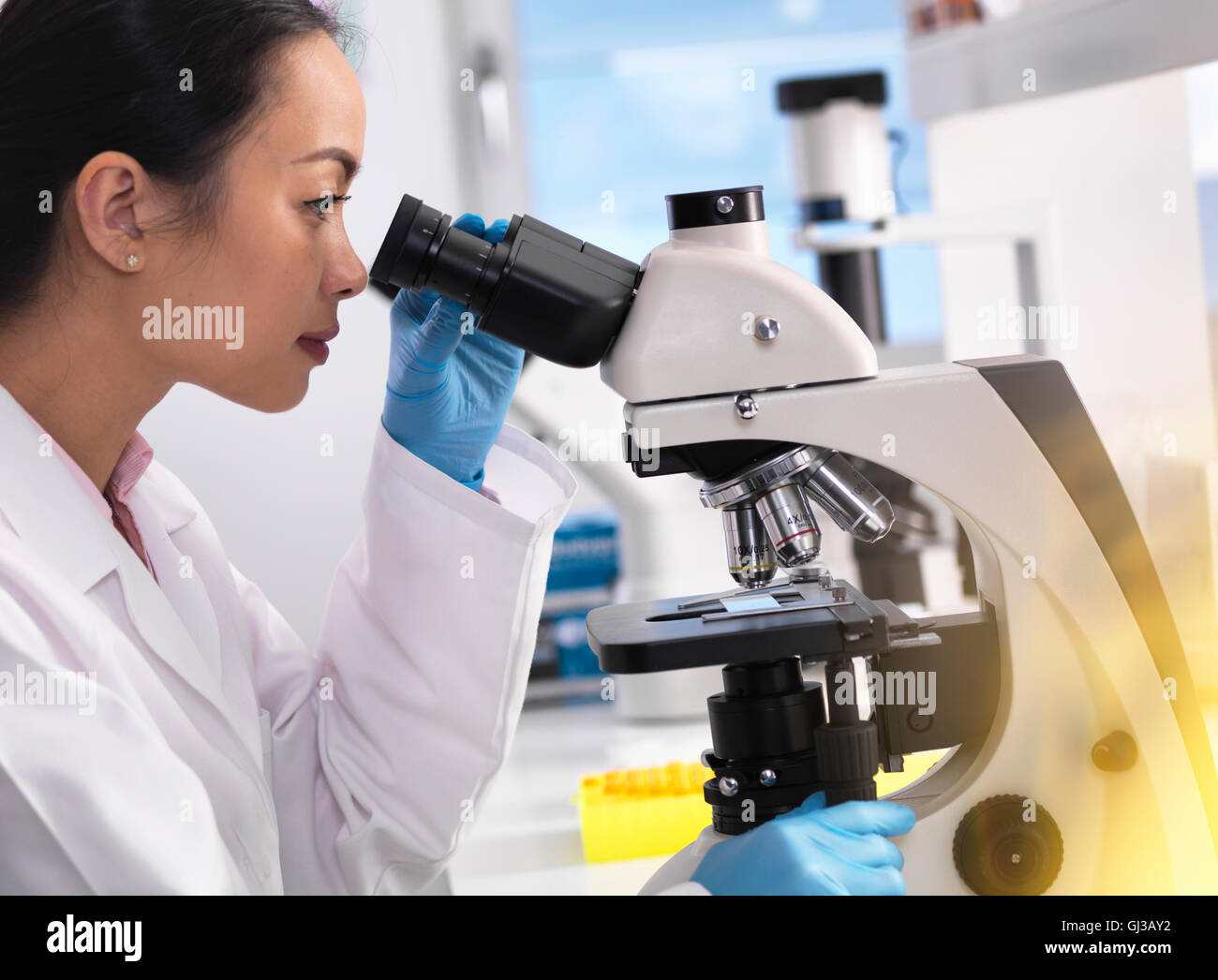 Human High Resolution Stock Photography and Images - Alamy