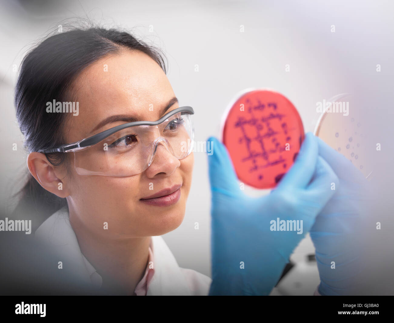 Microbiological culture hi-res stock photography and images - Alamy