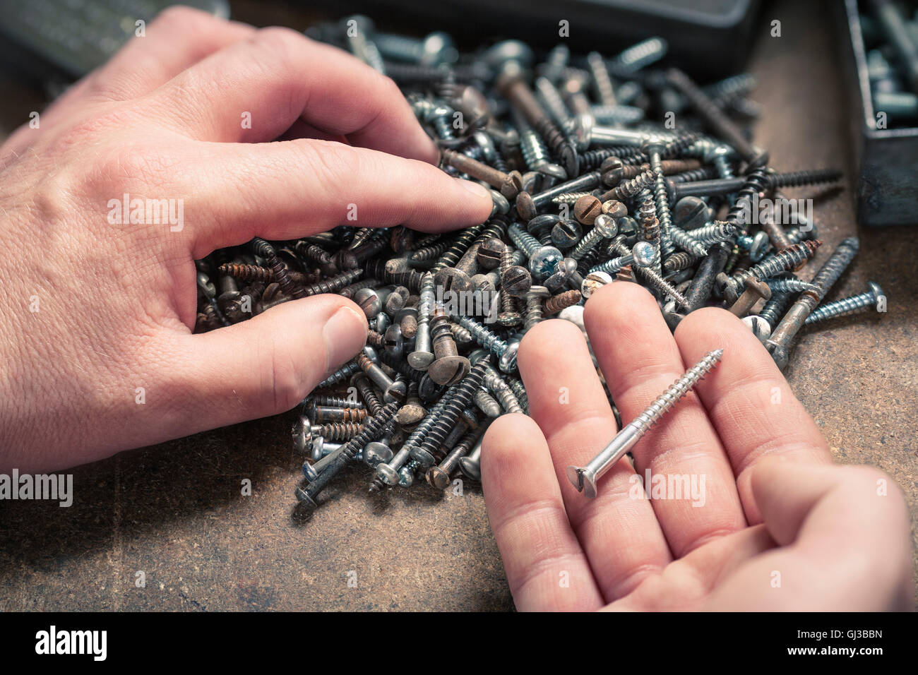 Pair of hands, one screw standing out from pile of different sized ...