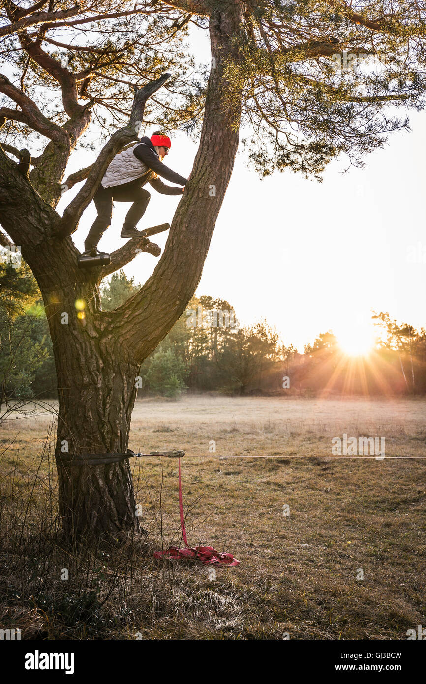 Woman climbing tree, Augsburg, Bavaria, Germany Stock Photo - Alamy