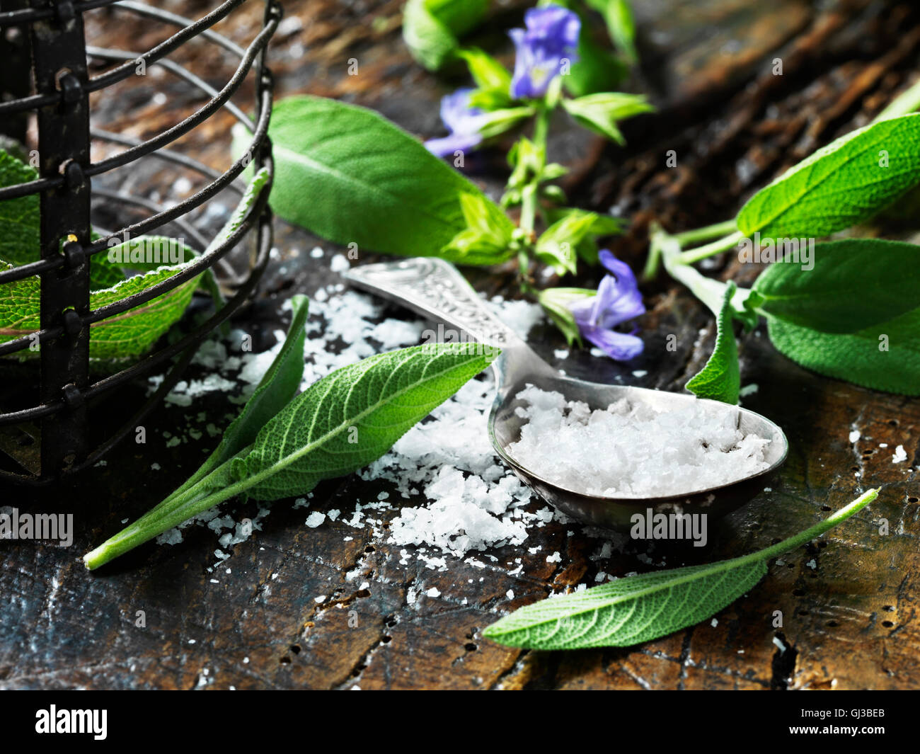 Salt leaves hi-res stock photography and images - Alamy