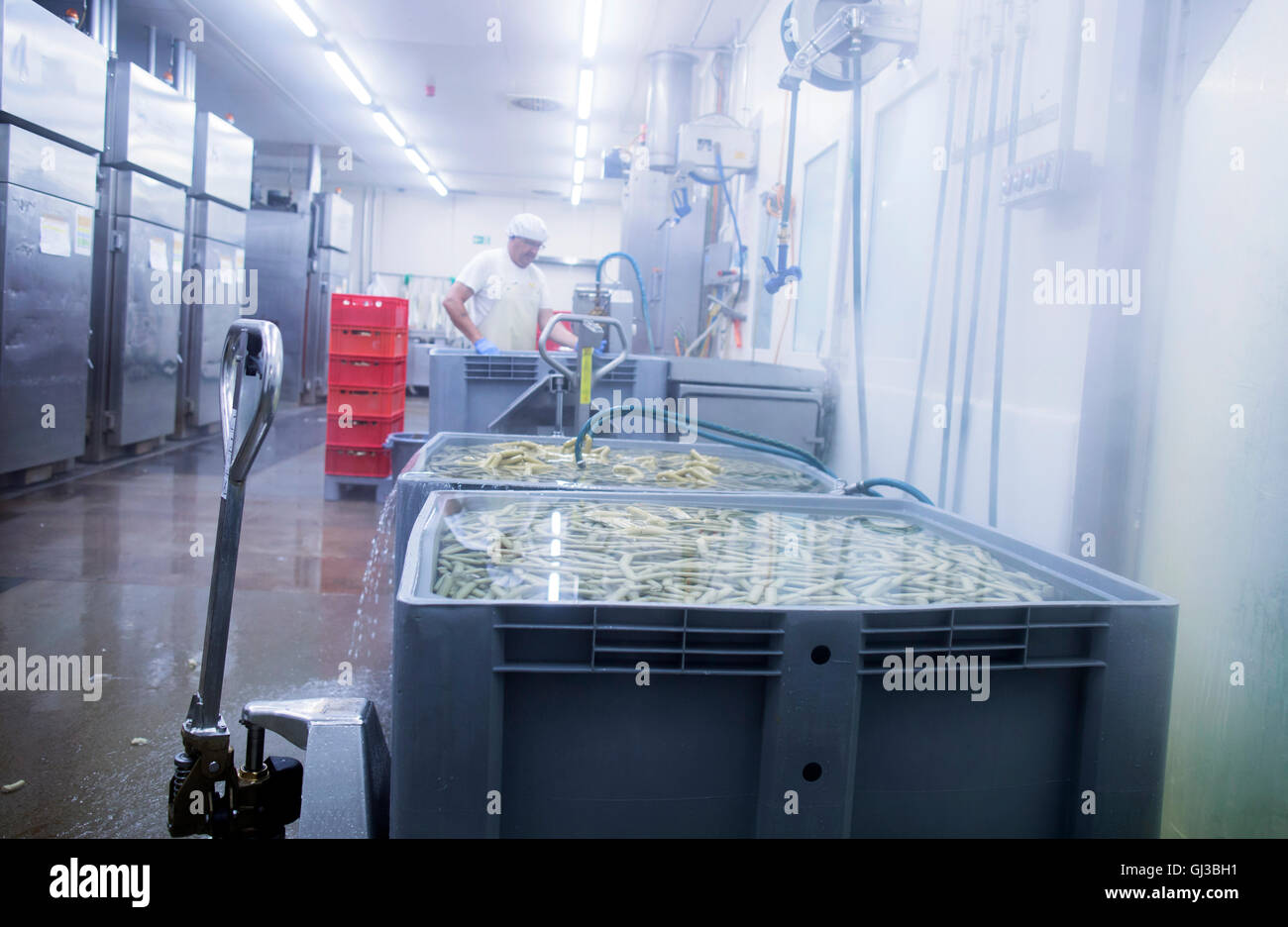 Male worker working in organic tofu production factory Stock Photo - Alamy