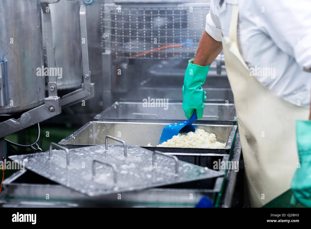 Male worker working in organic tofu production factory, mid section ...
