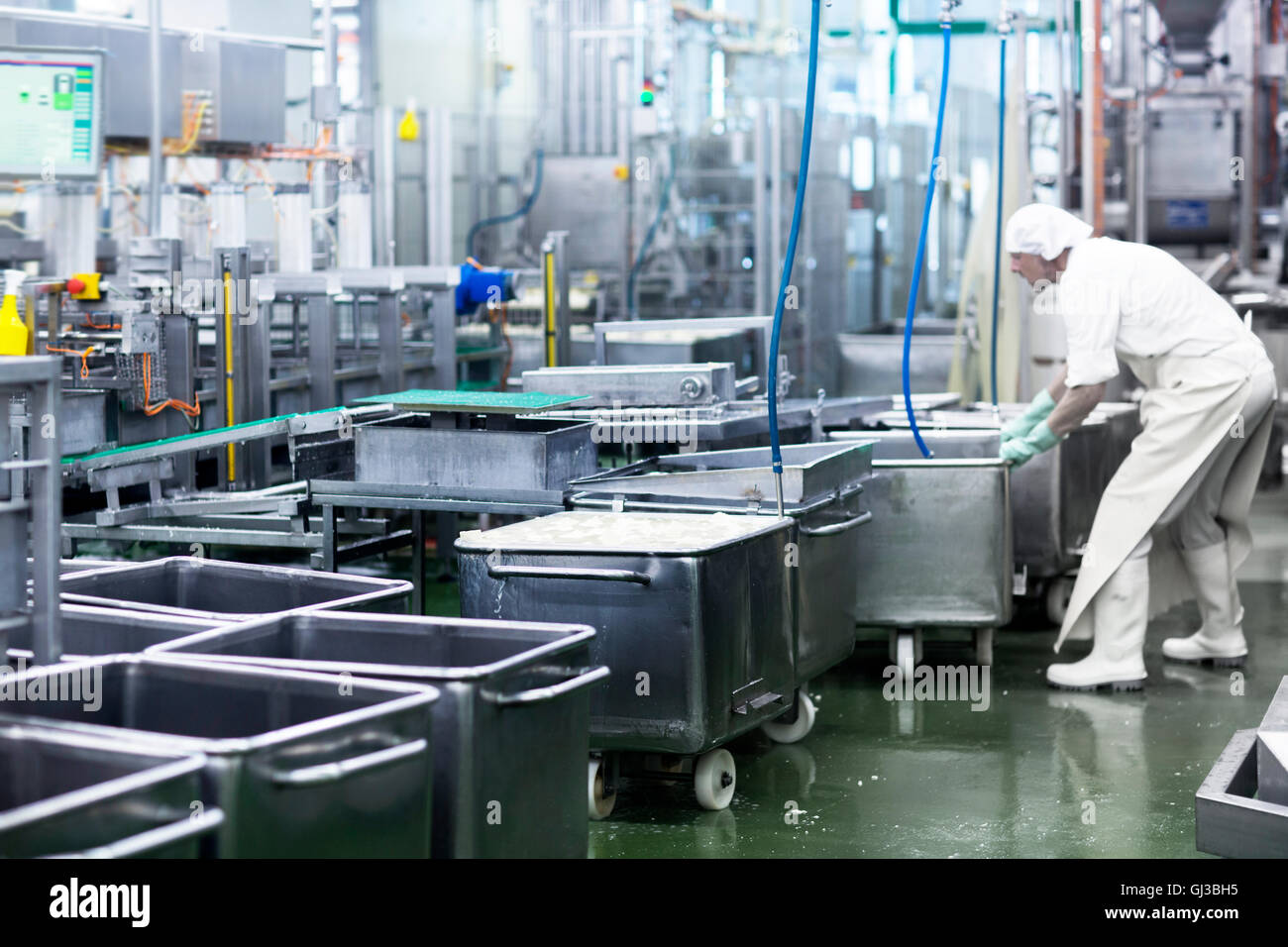 Male worker working in organic tofu production factory Stock Photo - Alamy