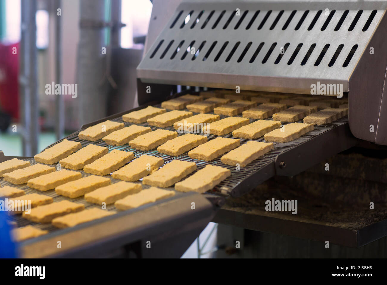 Conveyor belt with tofu in organic tofu production factory Stock Photo ...