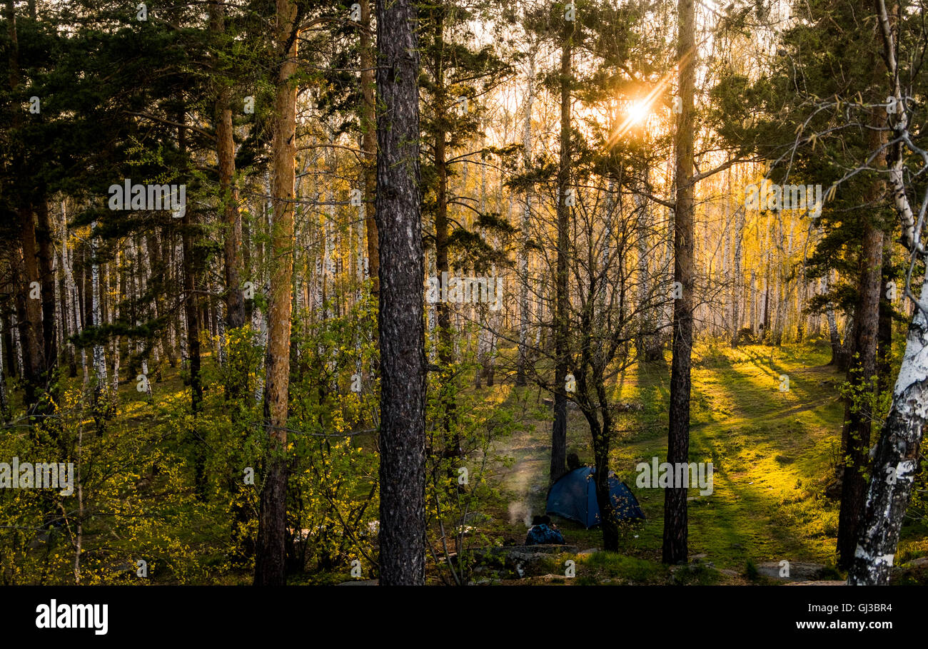 Asia sunset forest hi-res stock photography and images - Alamy