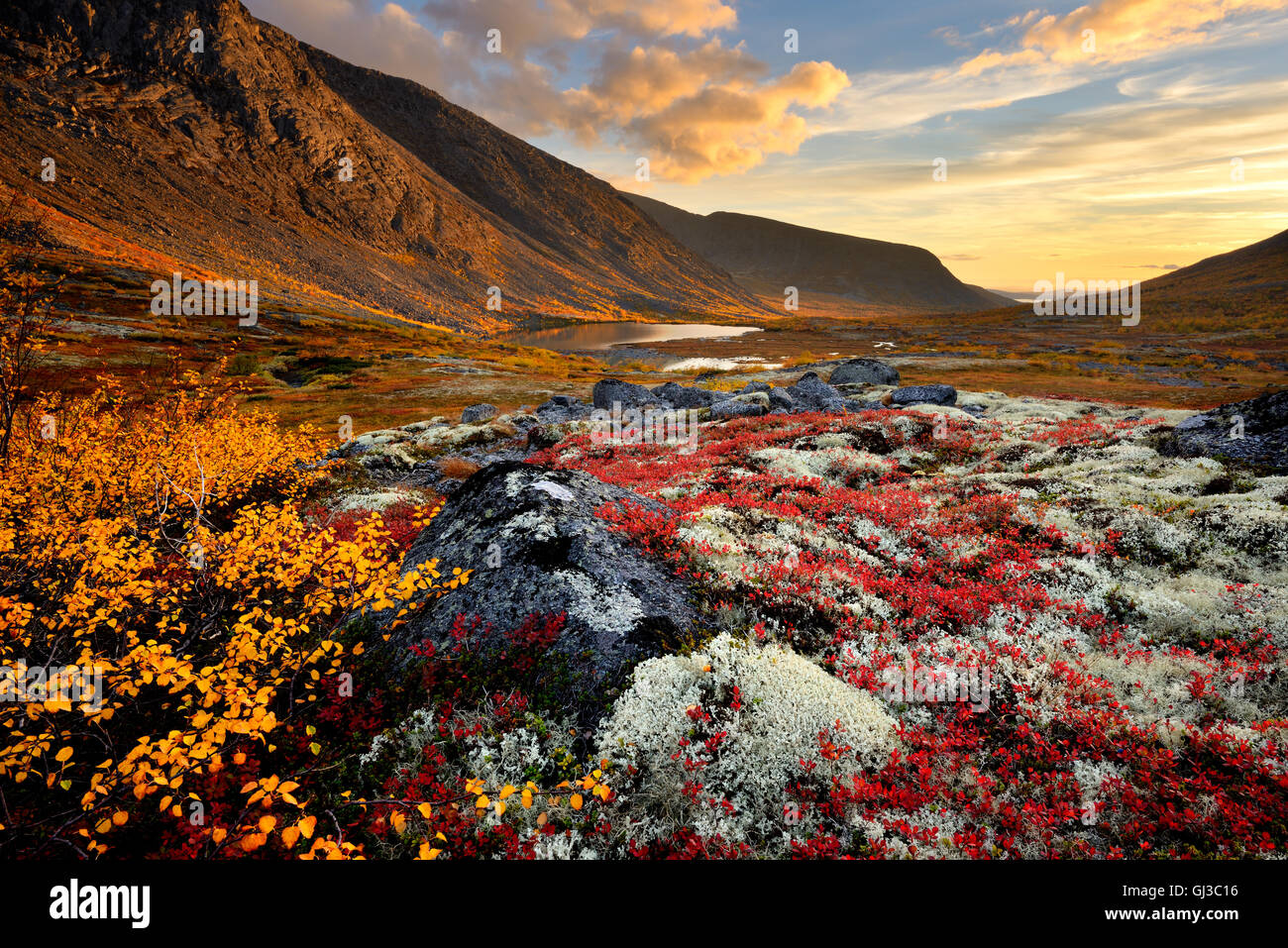Autumn coloured valley and Malaya Belaya river, Khibiny mountains, Kola ...