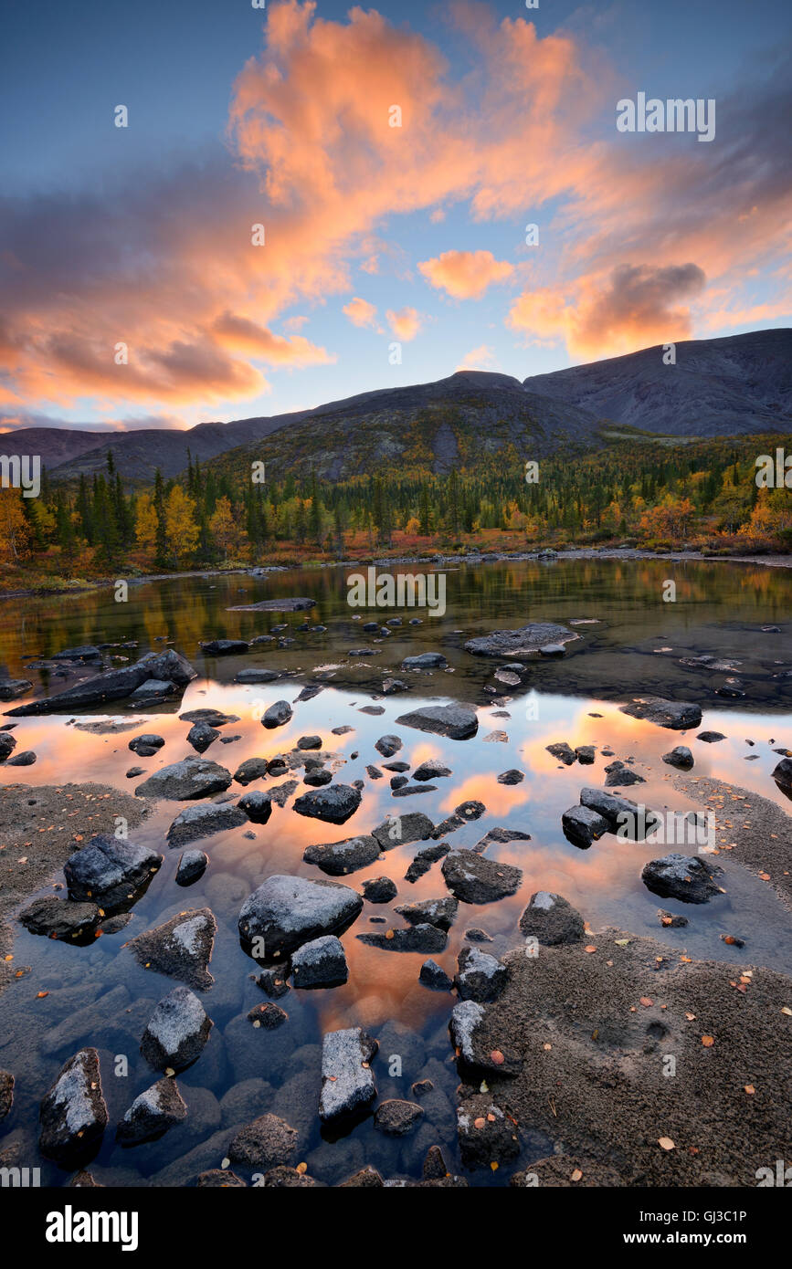 Forest at Polygonal Lakes at dusk, Khibiny mountains, Kola Peninsula ...