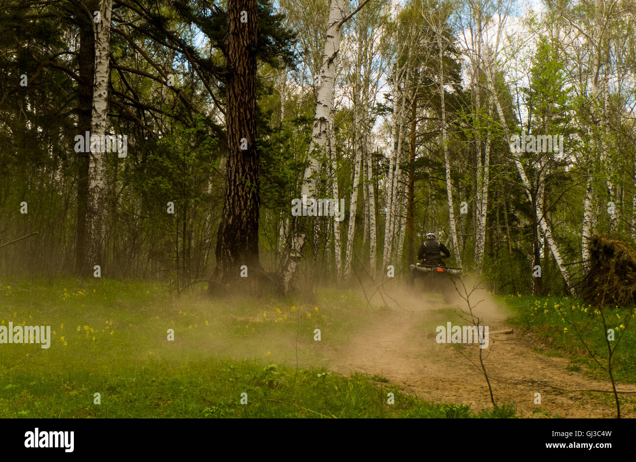 Rear view of man quadbiking on dusty forest dirt road, Russia Stock ...