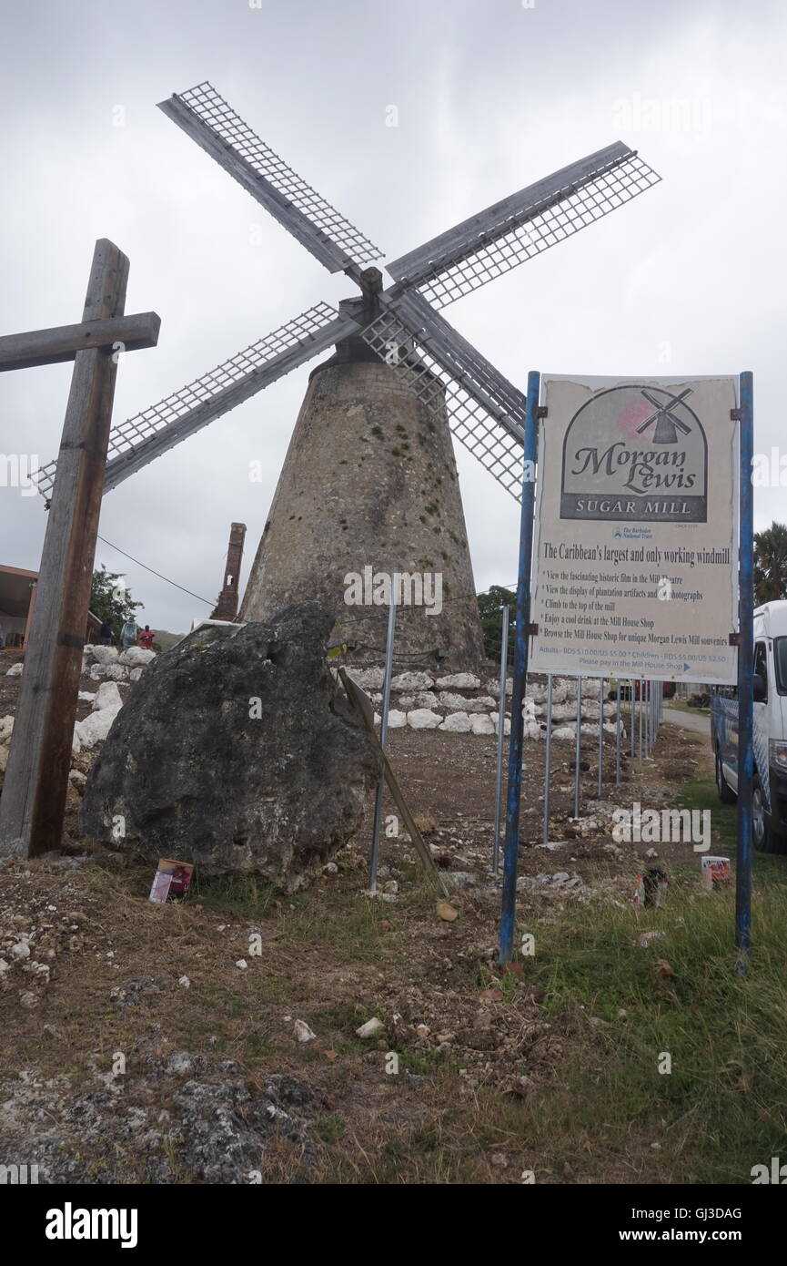 Morgan Lewis Windmill sugar mill undergoing restoration, St Andrew ...