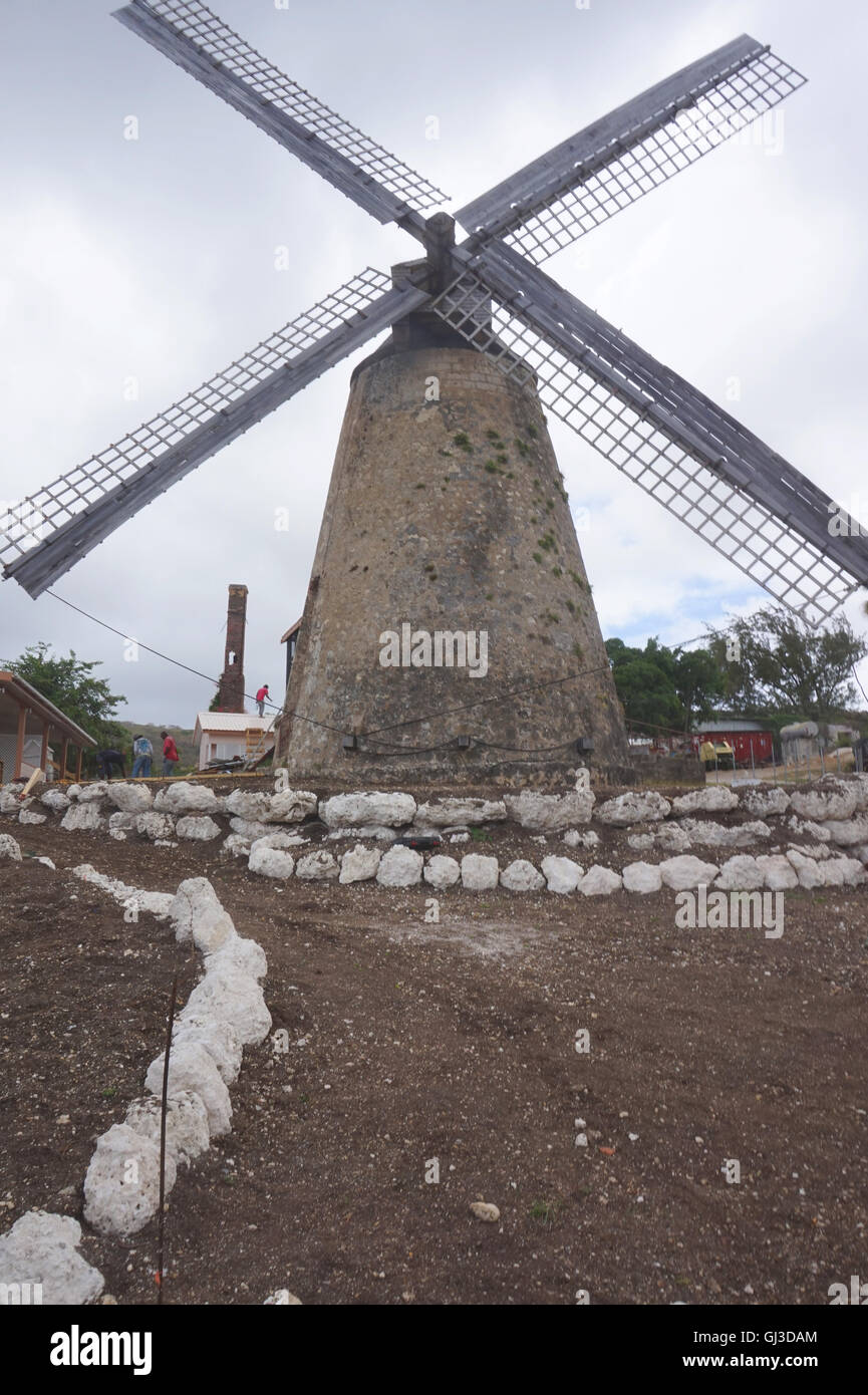 Morgan Lewis Windmill sugar mill undergoing restoration, St Andrew ...