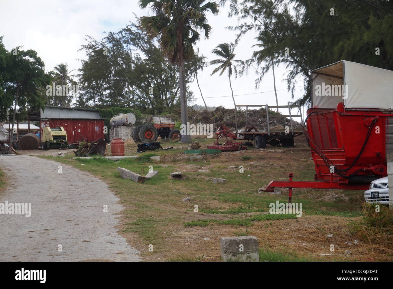 Agriculture barbados farm hi-res stock photography and images - Alamy