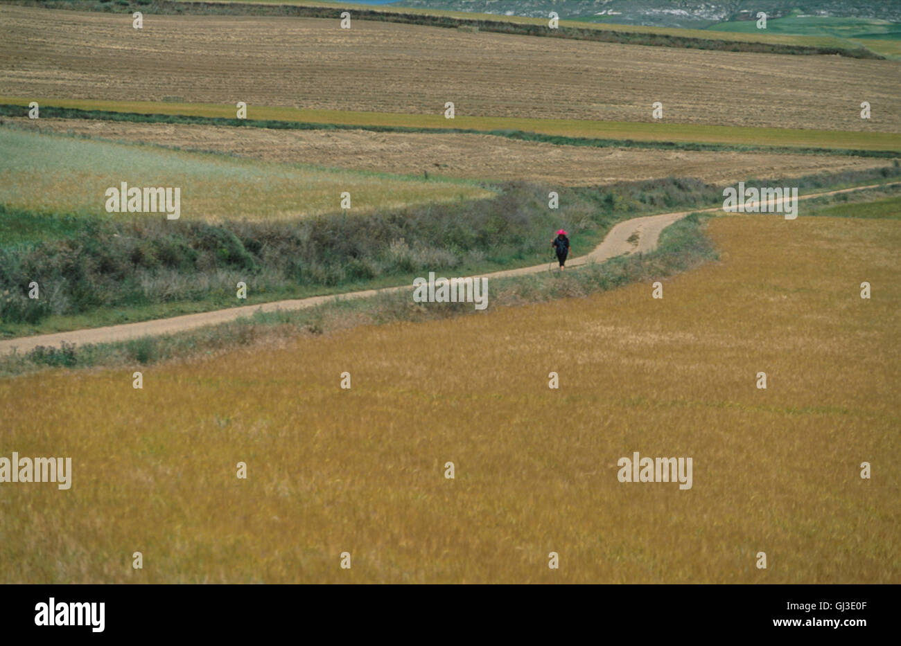 Camino de santiago spain meseta plateau hi-res stock photography and ...