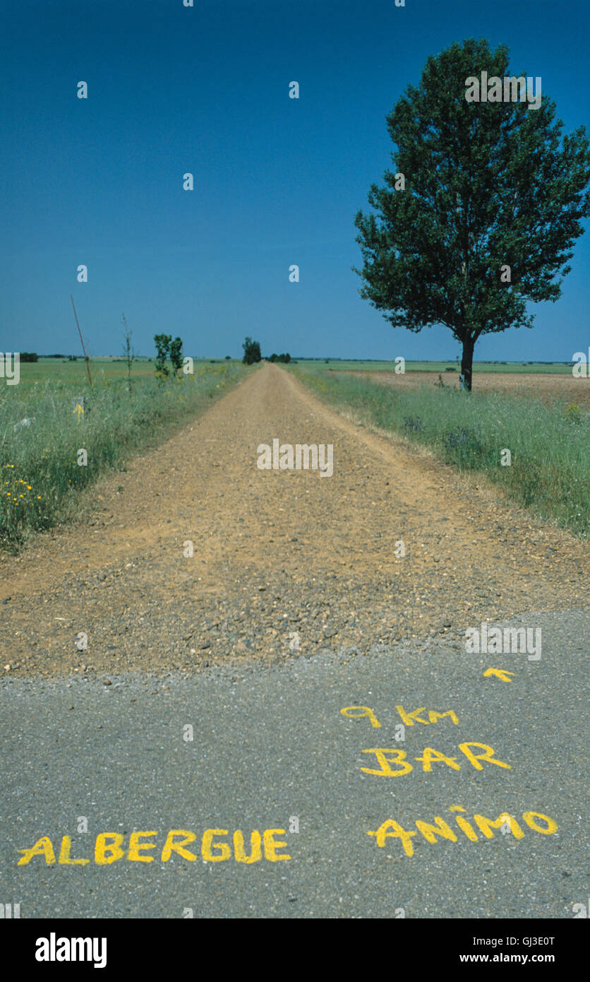 Wenching hi-res stock photography and images - Alamy