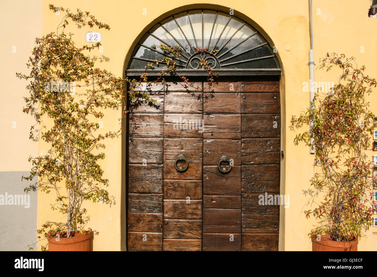 Antique wooden door at Piazza dell Anfiteatro Amphitheatre, is an oval ...