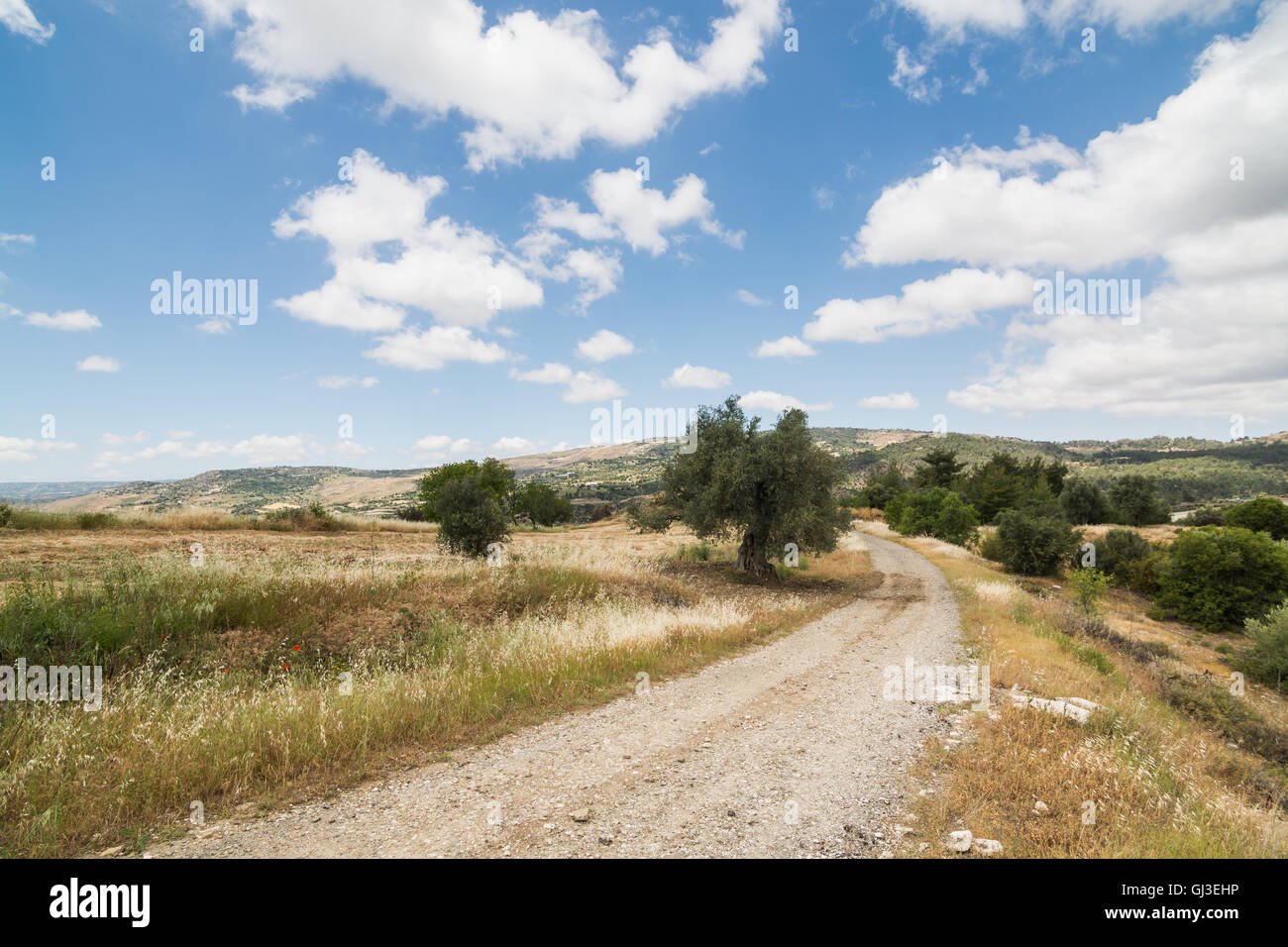 Cyprus road hi-res stock photography and images - Alamy