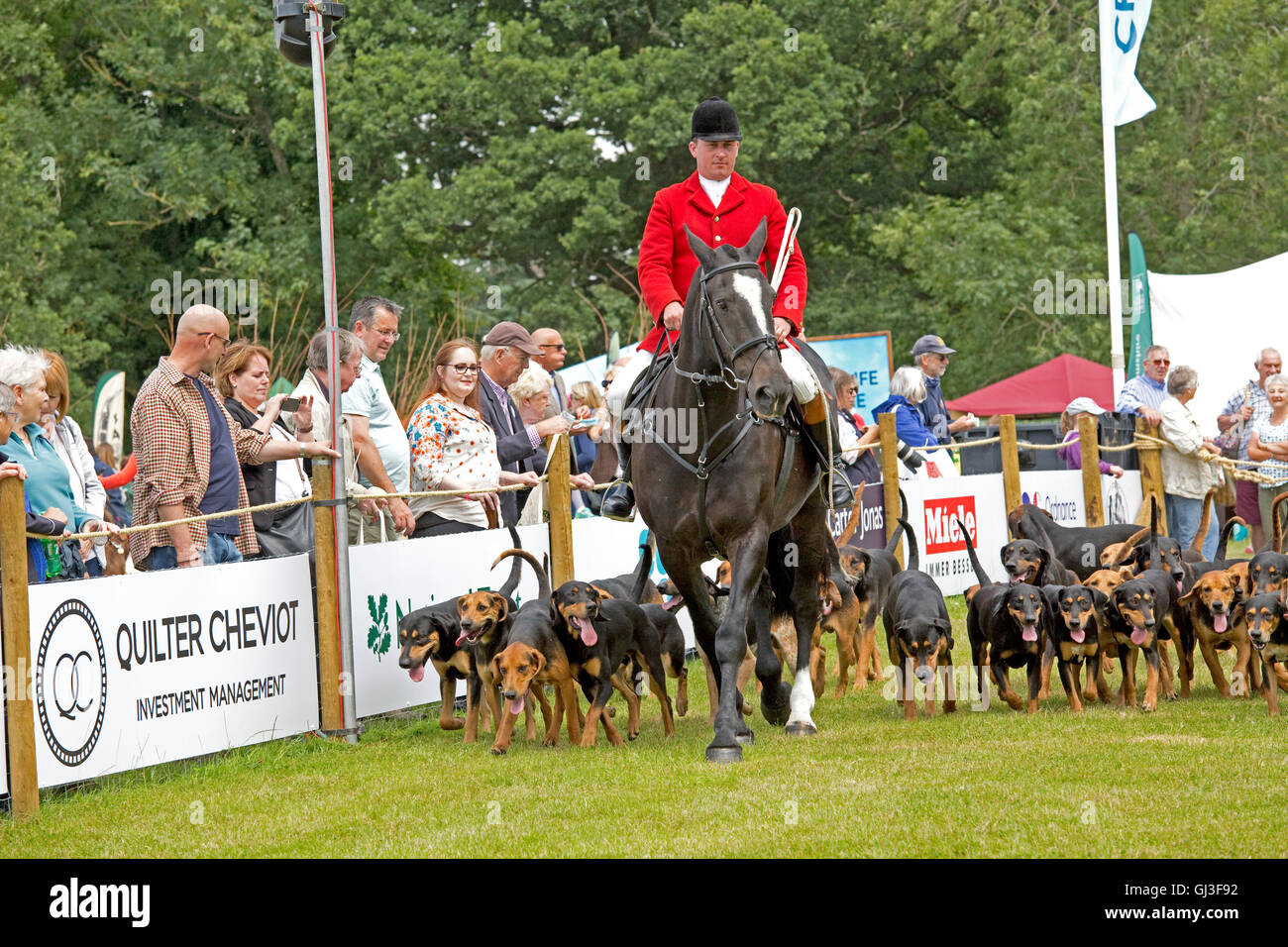 Drag hunt hi-res stock photography and images - Alamy