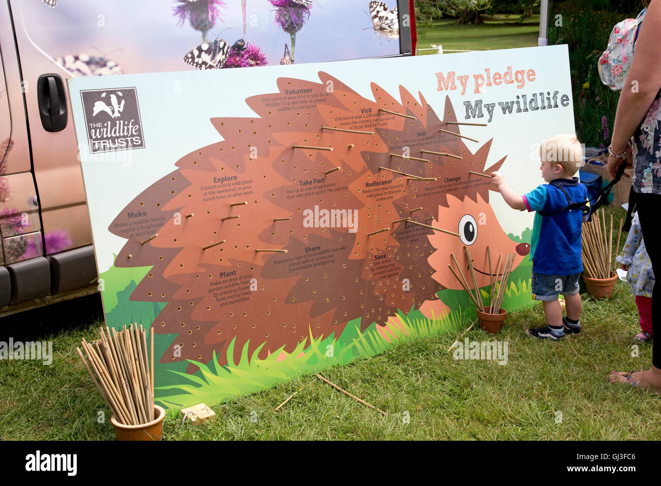 Young boy making wildlife pledge in pin board depicting giant hedgehog ...