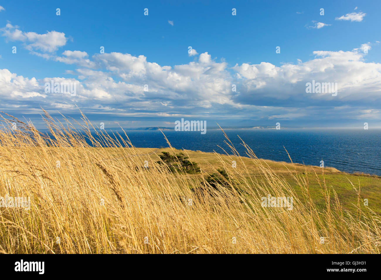 Bluff Trail Over Strait of Juan de Fuca. Fort Ebey State Park. Whidbey ...