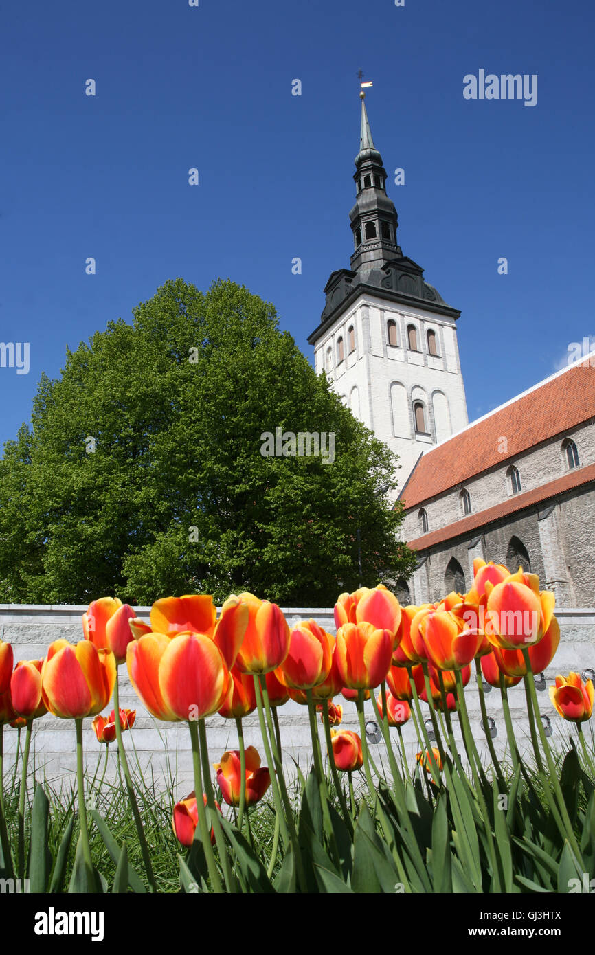 City concert hall tallinn hi-res stock photography and images - Alamy