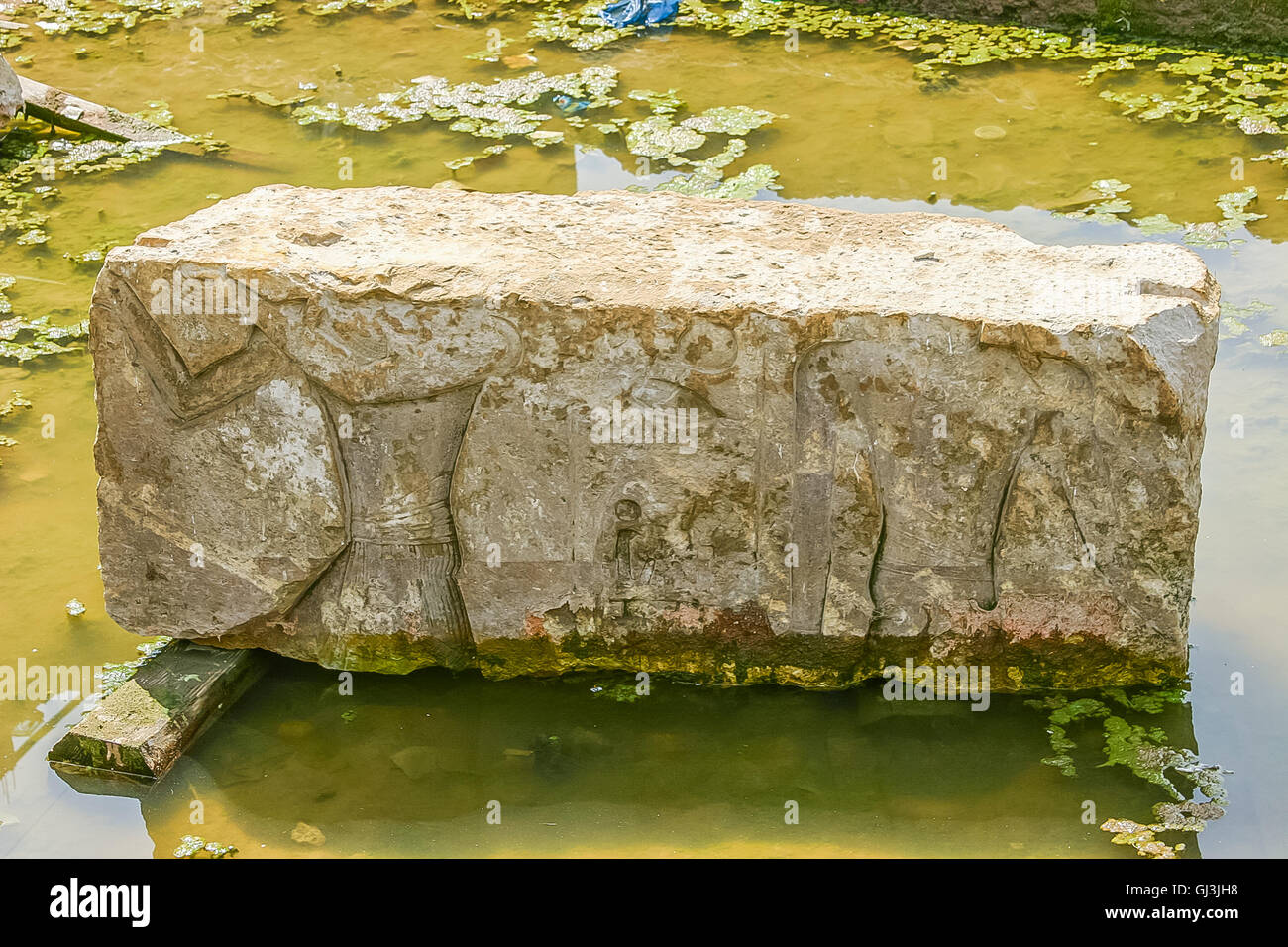 Egypt, Cairo, Heliopolis, excavations of a Ramses II temple in the zone ... Egypt, Cairo, Heliopolis, excavations of a Ramses II temple in the zone ...