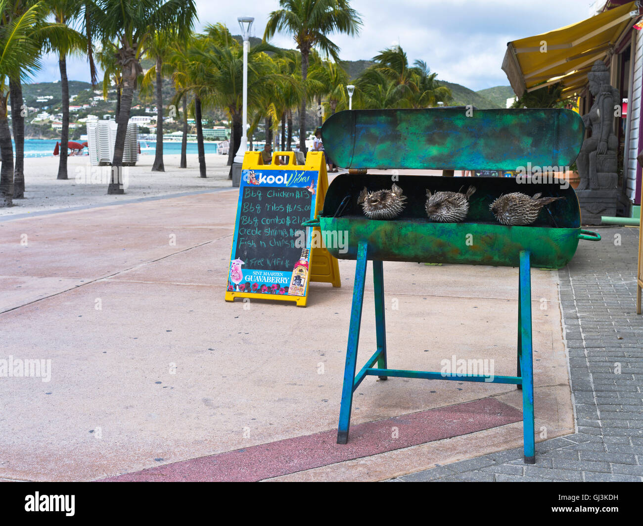 dh Philipsburg ST MAARTEN CARIBBEAN Puff ball fish ? on charcoal ...
