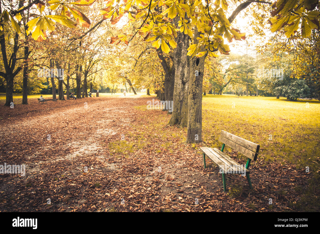 autumn park background fall brown romantic season Stock Photo - Alamy