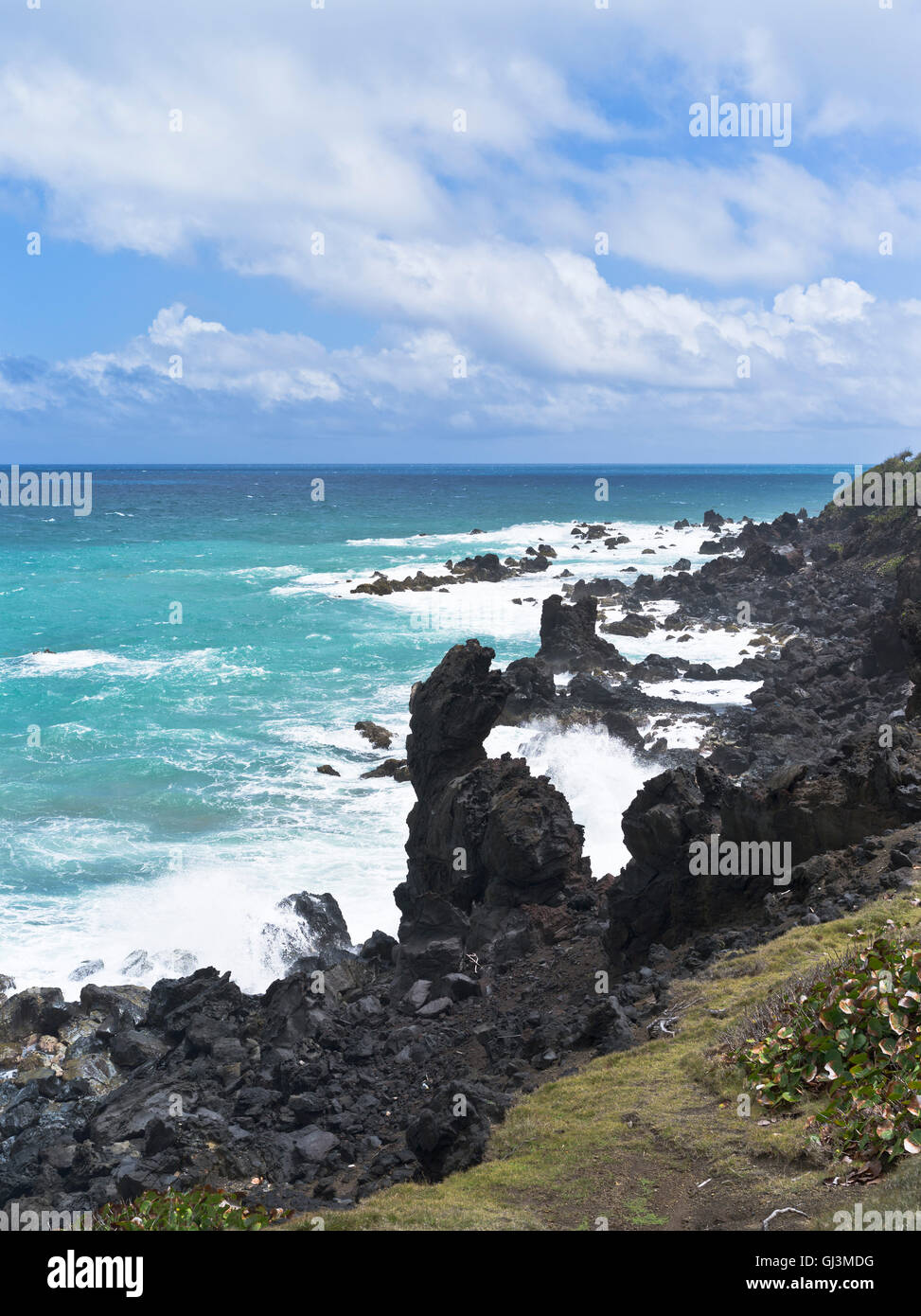 dh ST KITTS CARIBBEAN Coast basalt volcanic rocks Stock Photo - Alamy