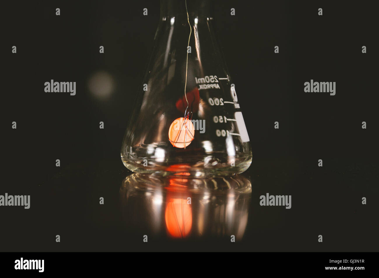 copper coin glows red hot as it catalyzes the oxidation of acetone in ...