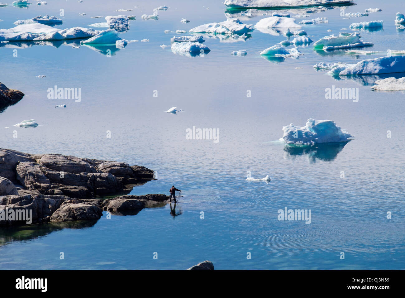 Local Inuit man fishing with a net on shore of Ilulissat Icefjord or ...