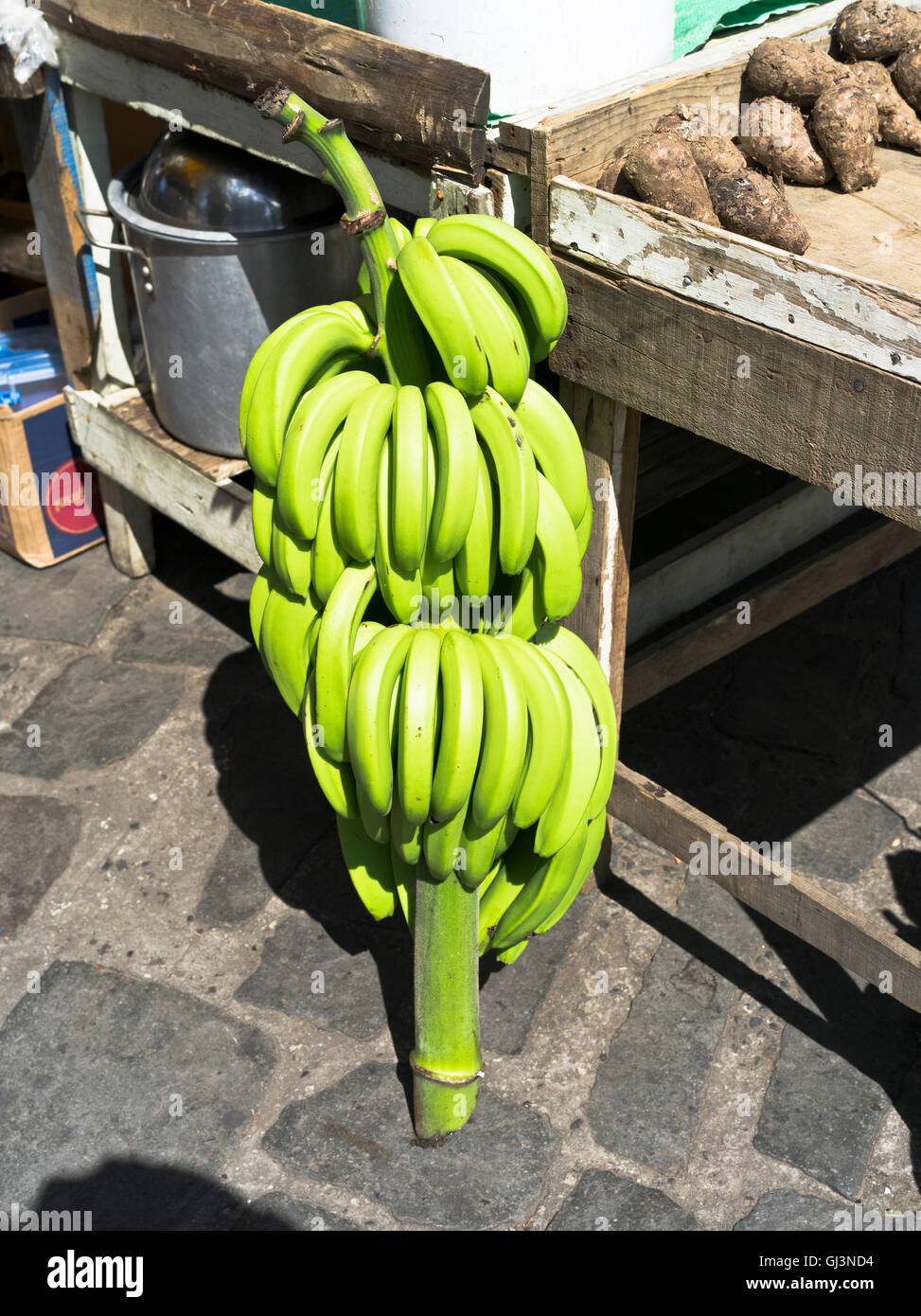 dh FRUIT CARIBBEAN plantain bananas Caribbean vegetable street market ...