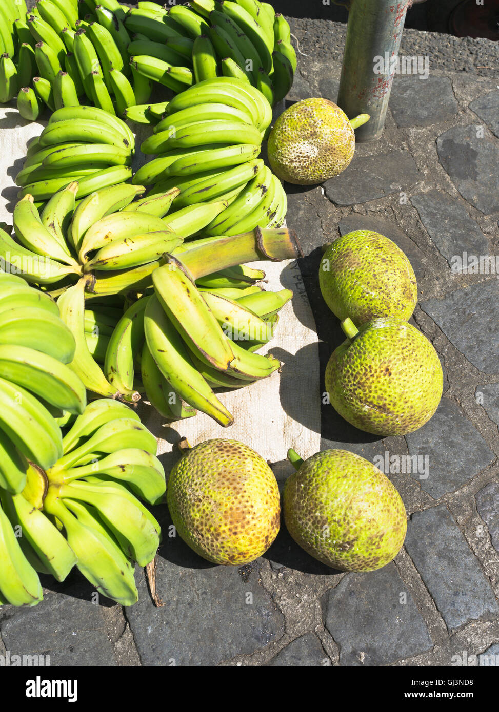 dh FRUIT CARIBBEAN breadfruit and plantain banana Caribbean vegetable ...