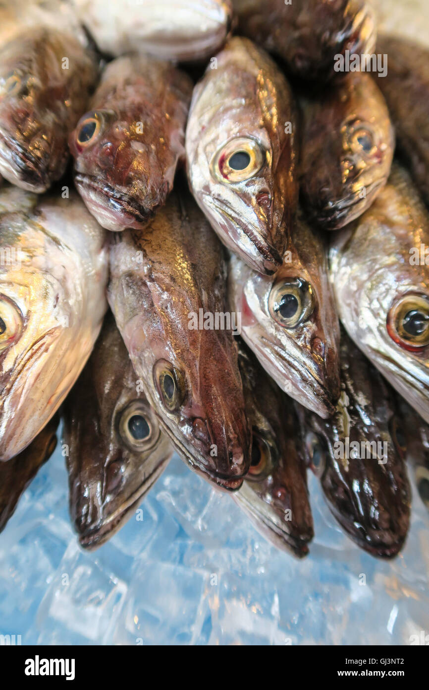 Fresh Whole Fish on Ice Stock Photo - Alamy