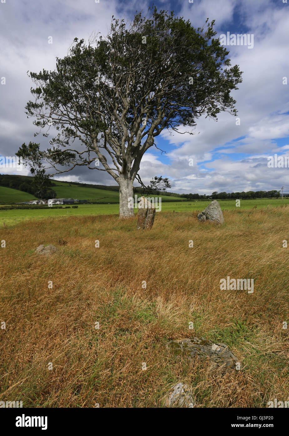 St colmacs standing stones hi-res stock photography and images - Alamy